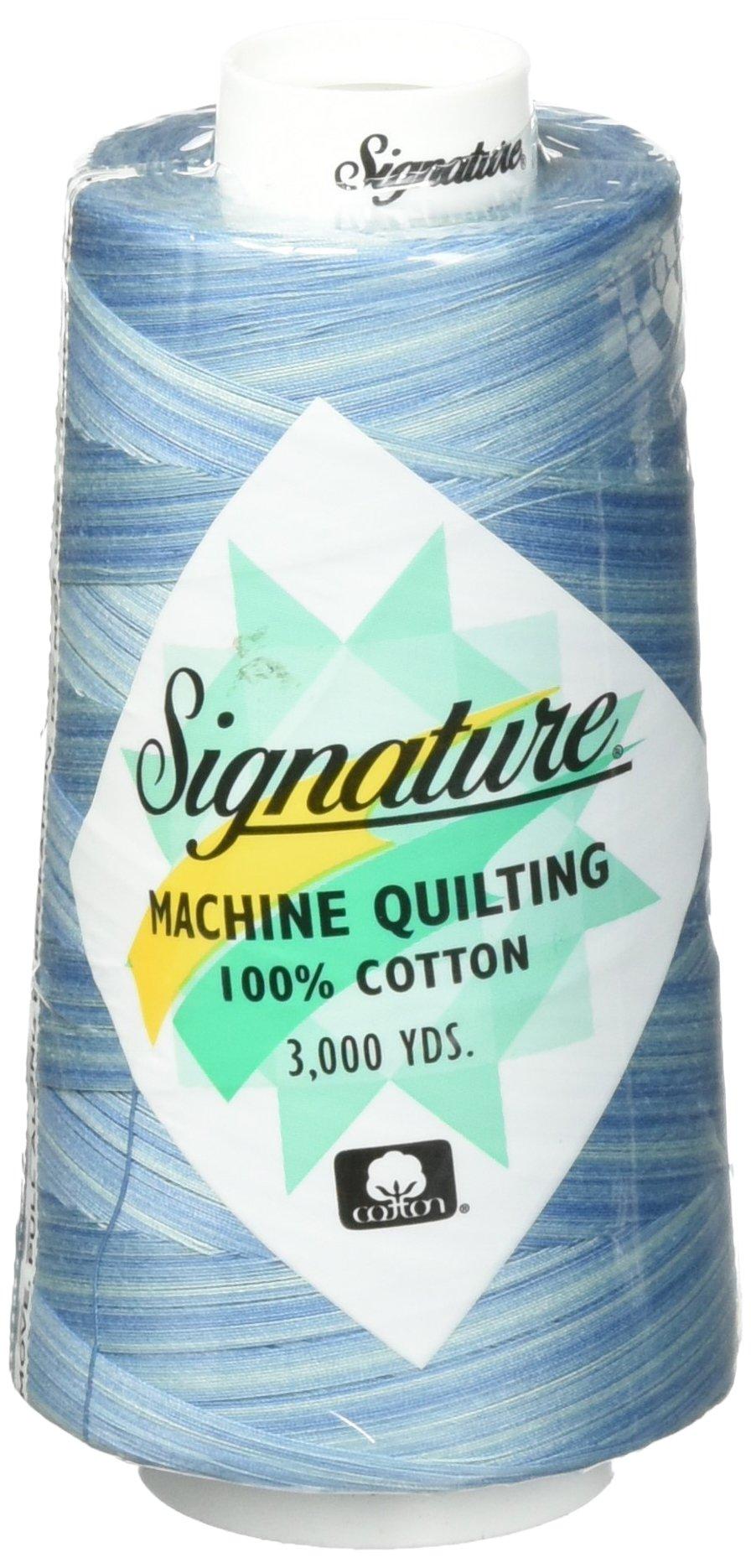 Signature Thread 40wt/3000 yd Variegated Blue Skies - High Quality ...