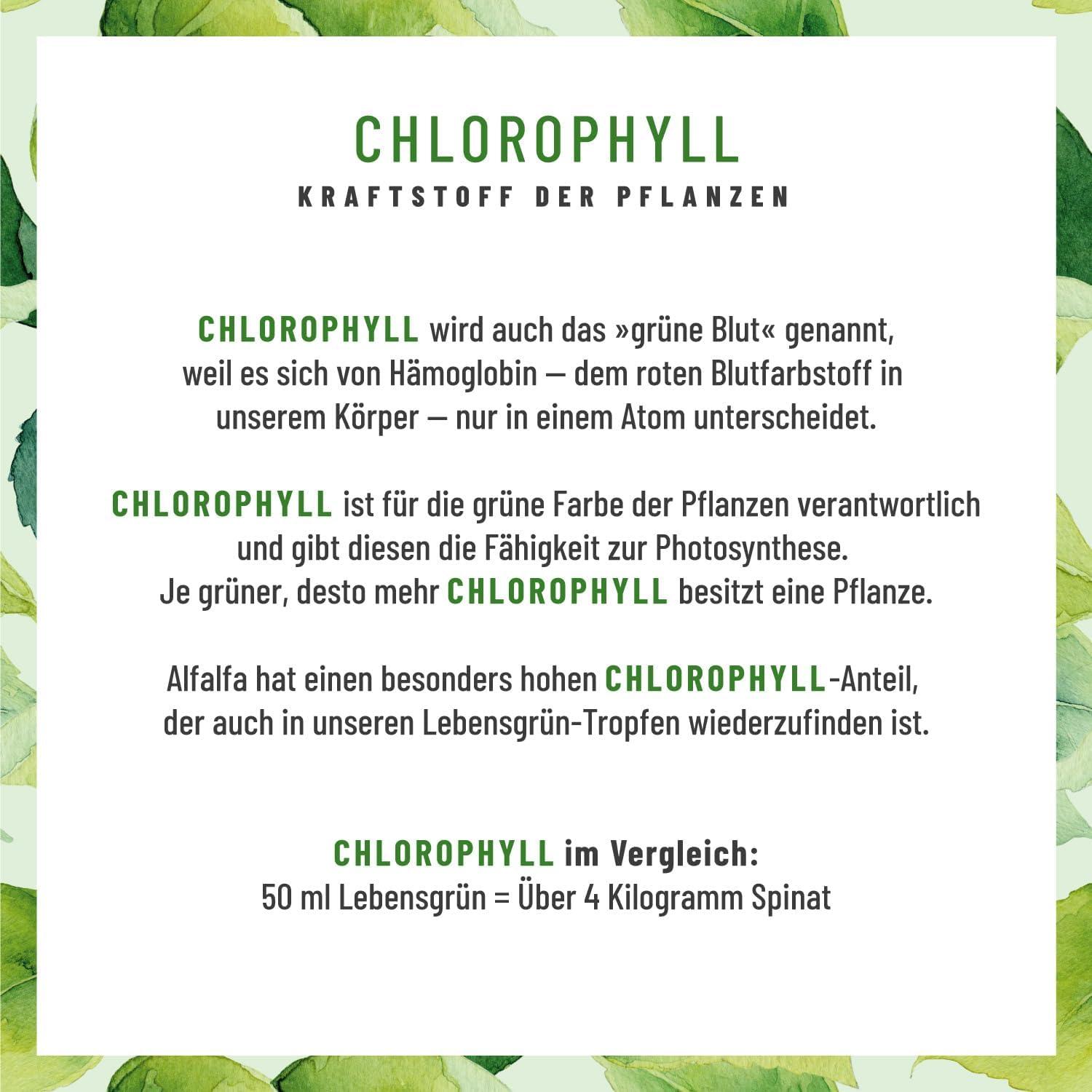 Lifelong Alfalfa Chlorophyll Liquid 50ml - 200mg Daily Dose - Vegan ...