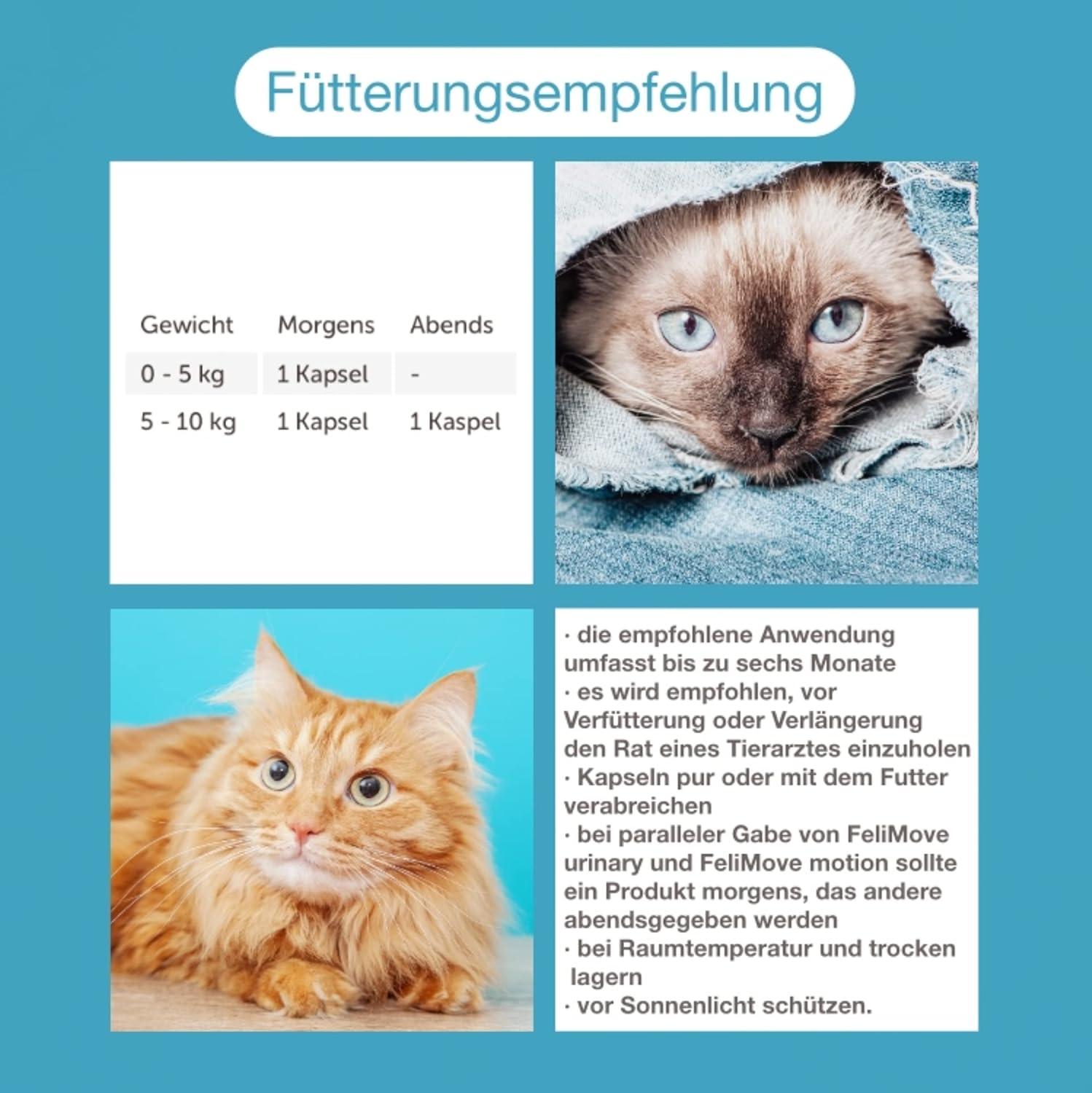 Felimove Urinary for Cats - 100 Capsules | Struvite FUS FLUTD ...