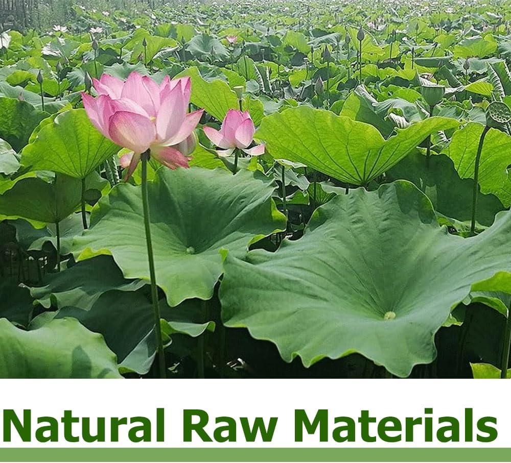 KYKHT Lotus Seed Core Tea for Men Liver and Kidney Care Tea Men's ...