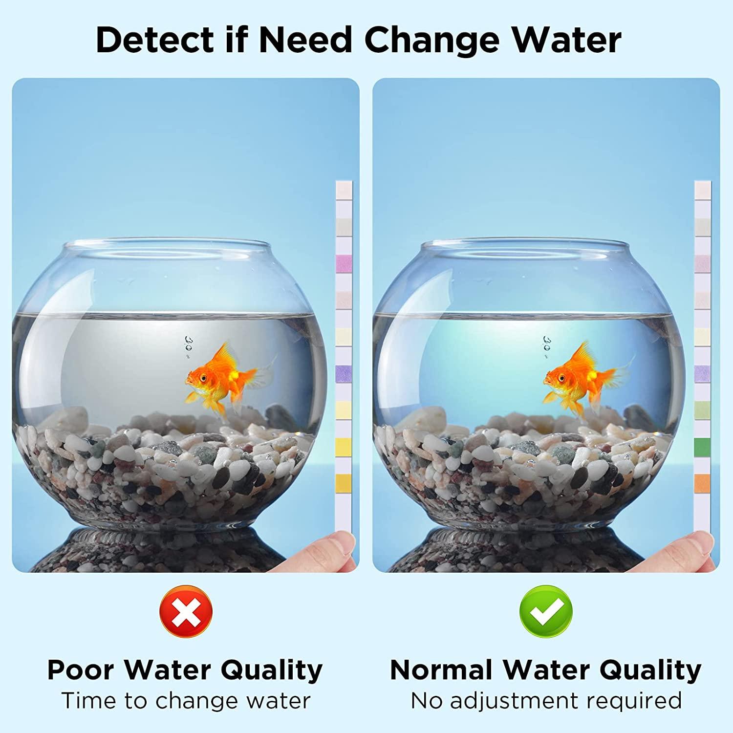 9 in 1 Aquarium Test Strips - 100 Strips Aquarium Water Test Kits for ...