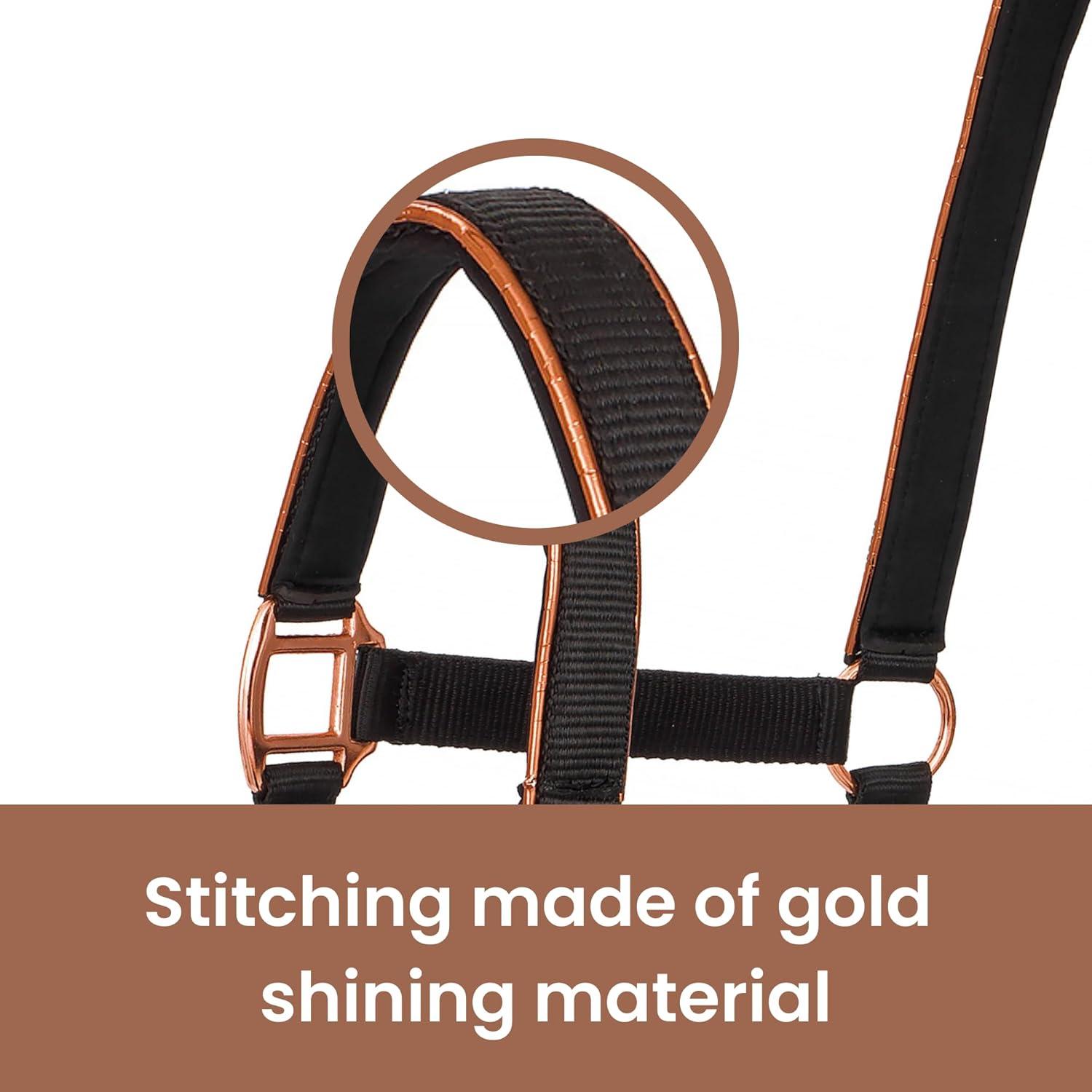 Premium Neoprene Halter for Thoroughbred & Warmblood Horses ...
