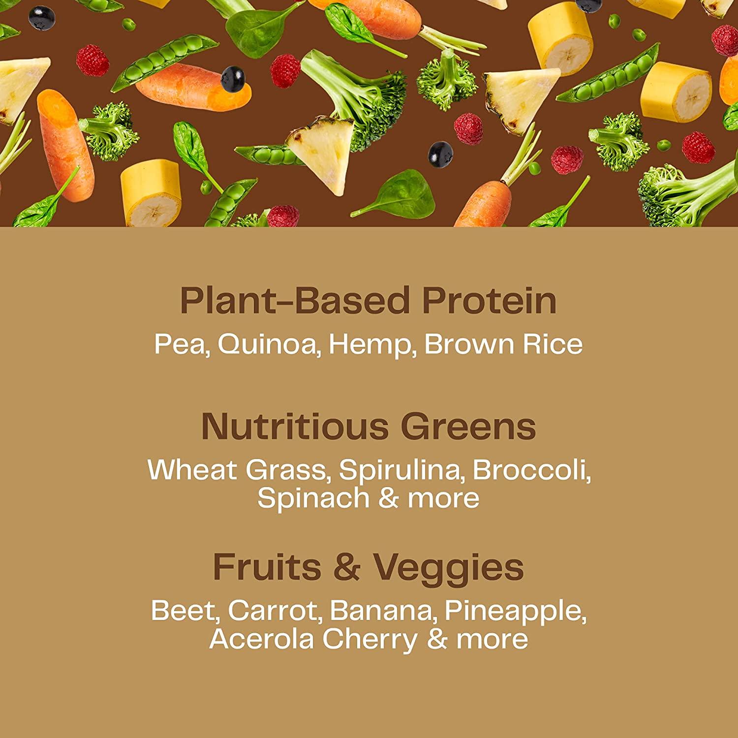 Amazing Grass Organic Plant Protein Blend - Vegan Protein Powder with ...