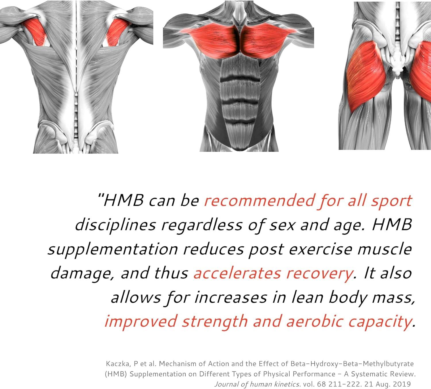 Mr Run's HMB 1000mg - Muscle Strength Supplement for Calorie Cutting ...