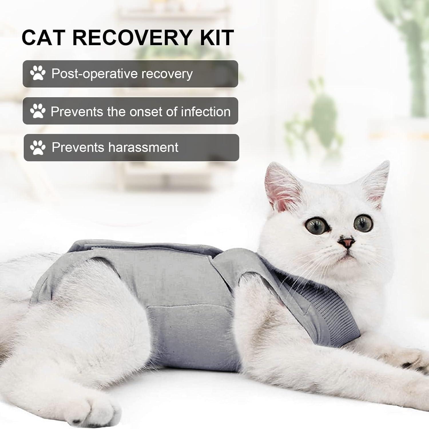 Katzenbody for Cats | Post-Surgery Recovery Suit | Anti-Trolley & E ...