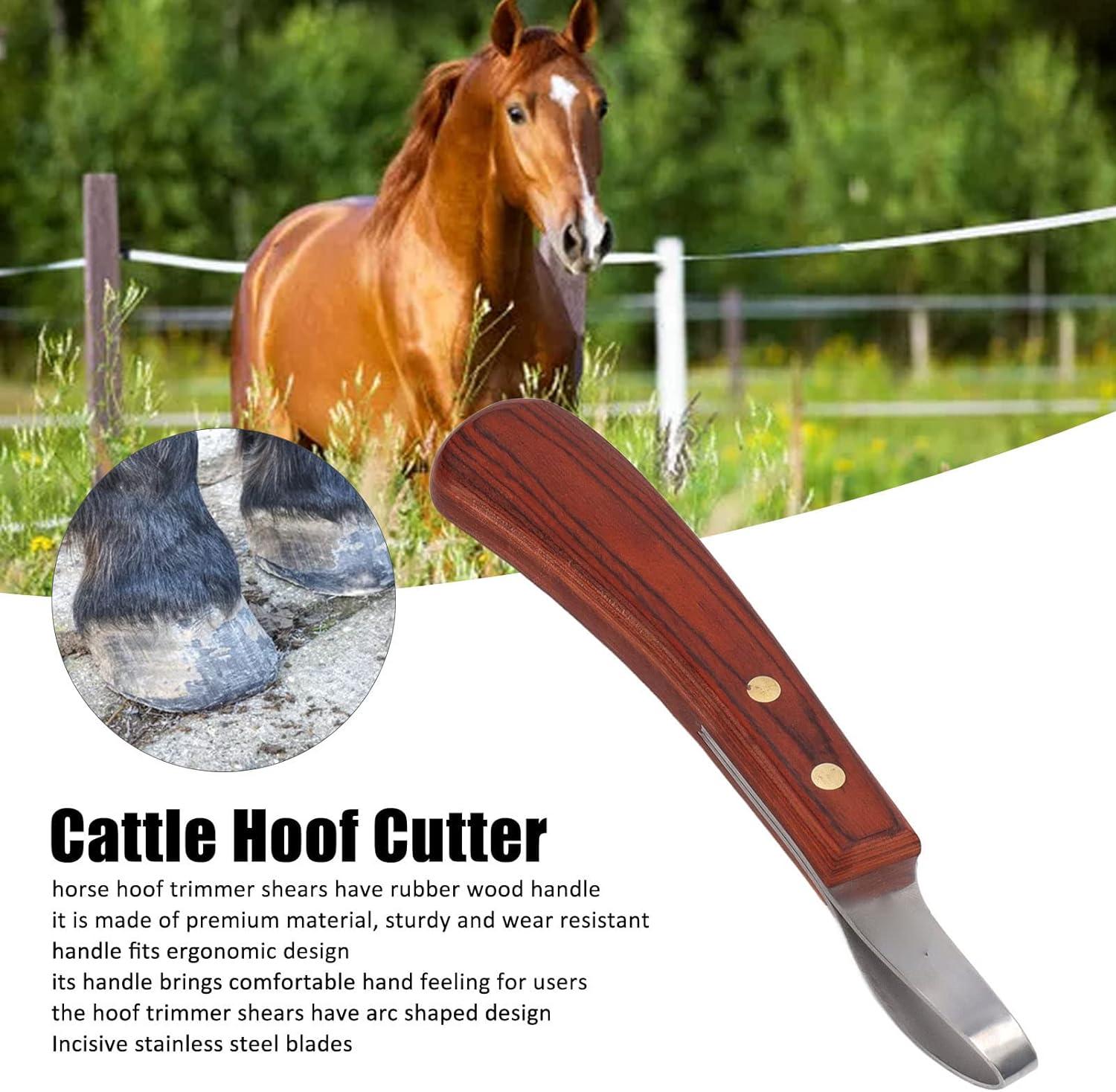 Luqeeg Farrier Tools Hoof Knife - Premium Eyelet Oval Horse Hoof Knife ...