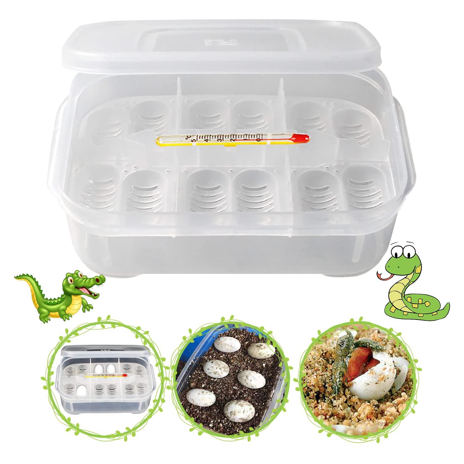 Snake Gecko Lizard Reptile Egg Incubator Tray with Thermometer | 16 ...