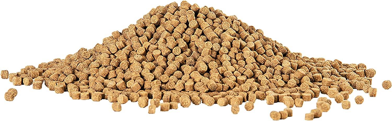 Aqueon Shrimp Pellets Fish Food 6.5 oz - Nutritious Pellets for Healthy ...