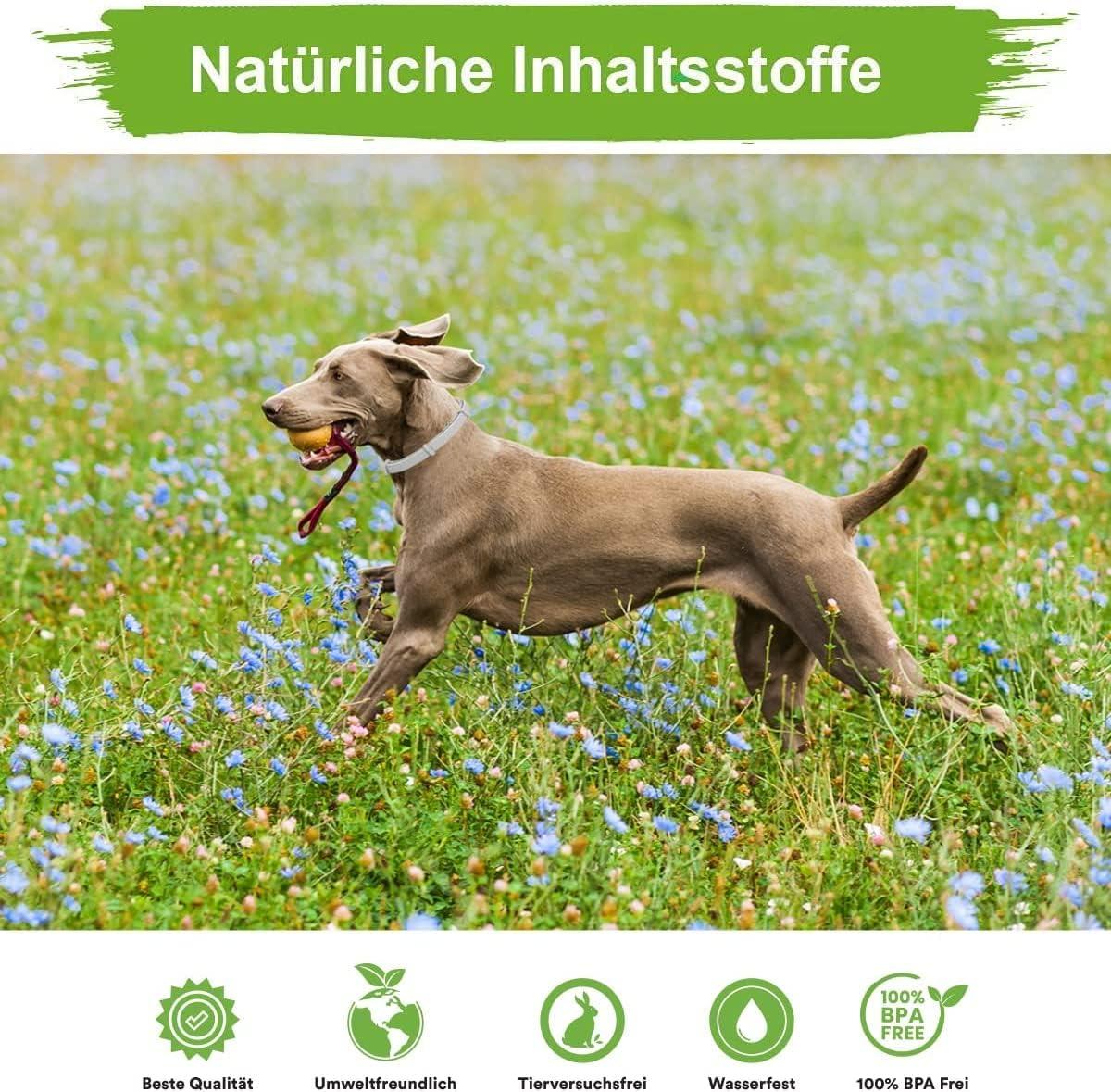 MC-Royal Deluxe Tick Collar for Dogs | 100% Natural Ingredients | 8 ...