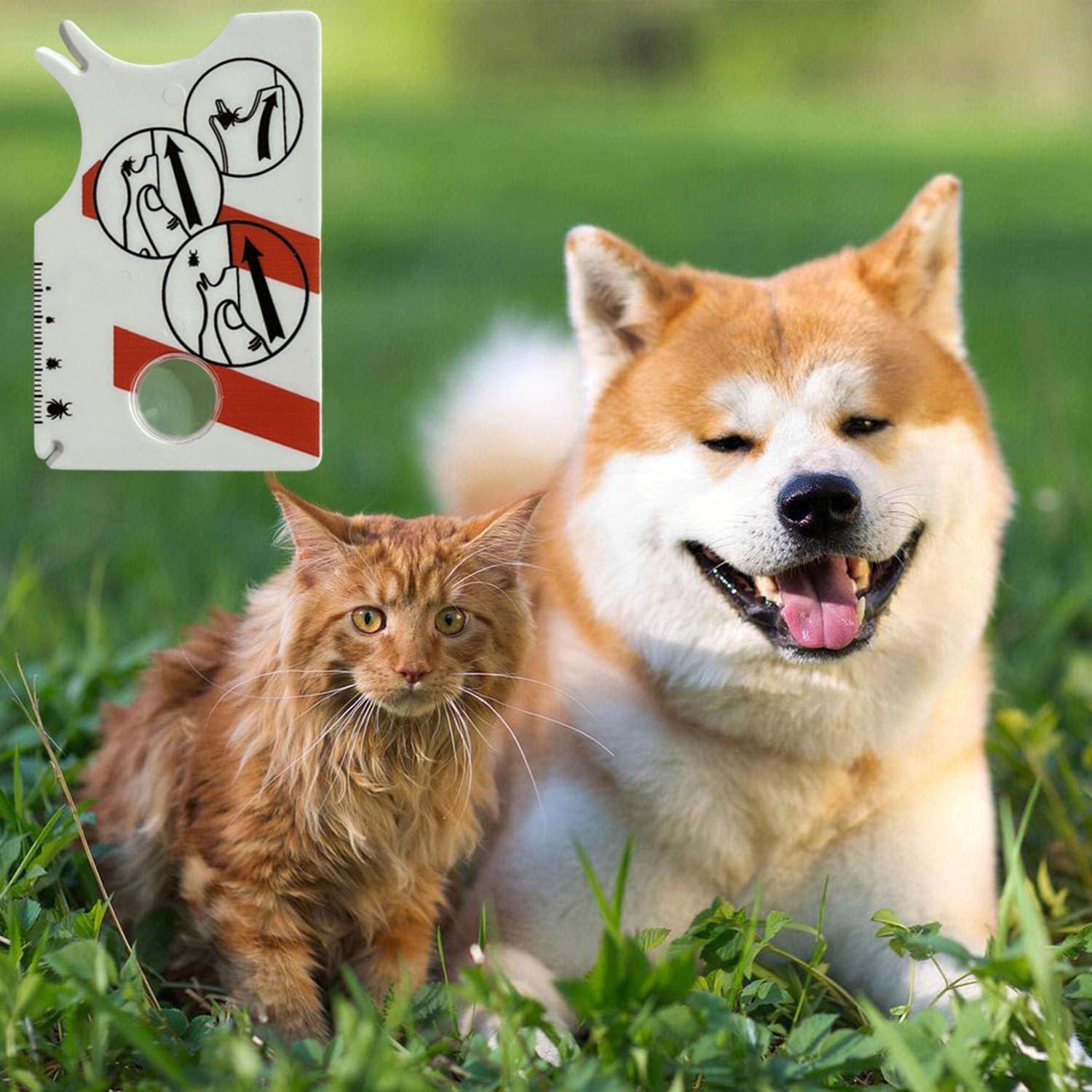 IZyufan Tick Card - Tick Scale with Magnifying Glass for Quick Tick ...