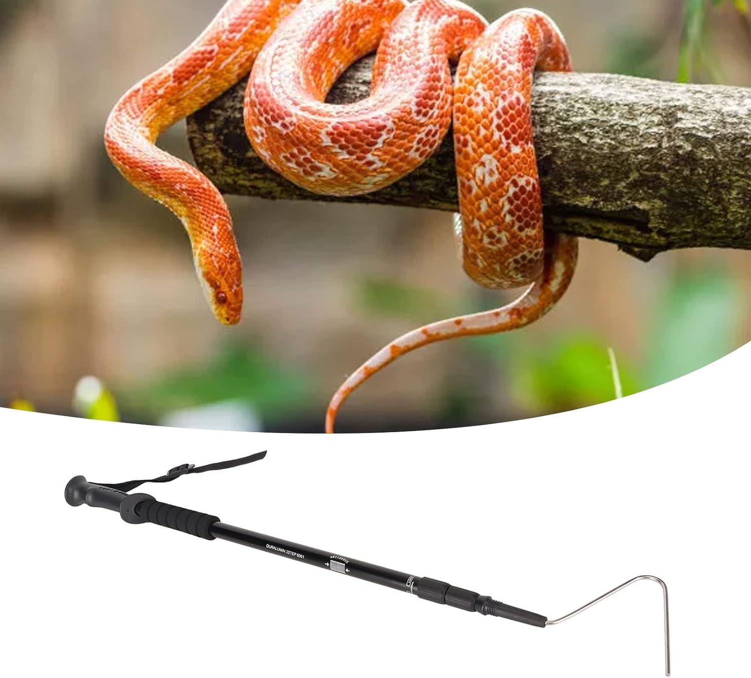 Bewinner Stainless Steel Extensible Snake Hook - Portable Reptile ...