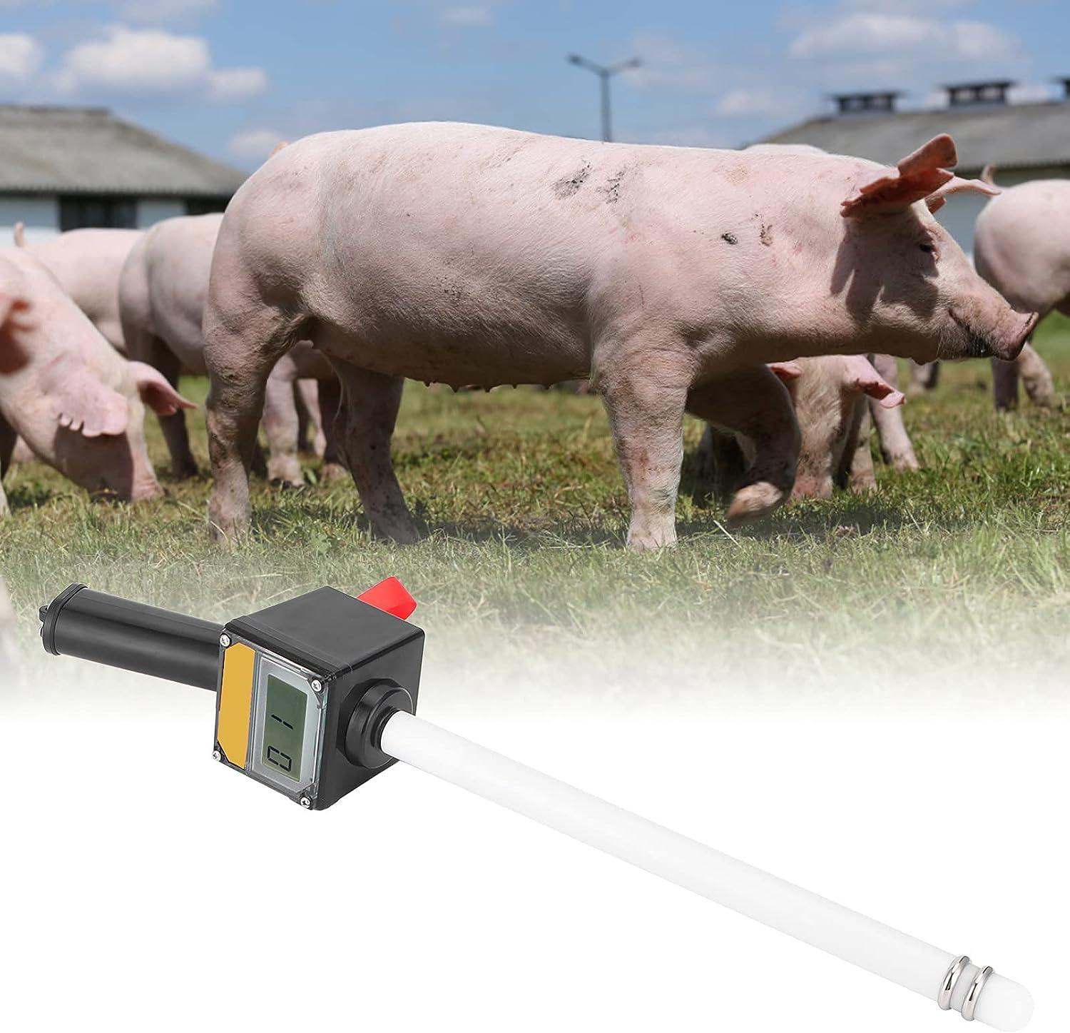 Ovulation Analyzer & Estrus Detector for Pig Breeding Equipment - Easy ...