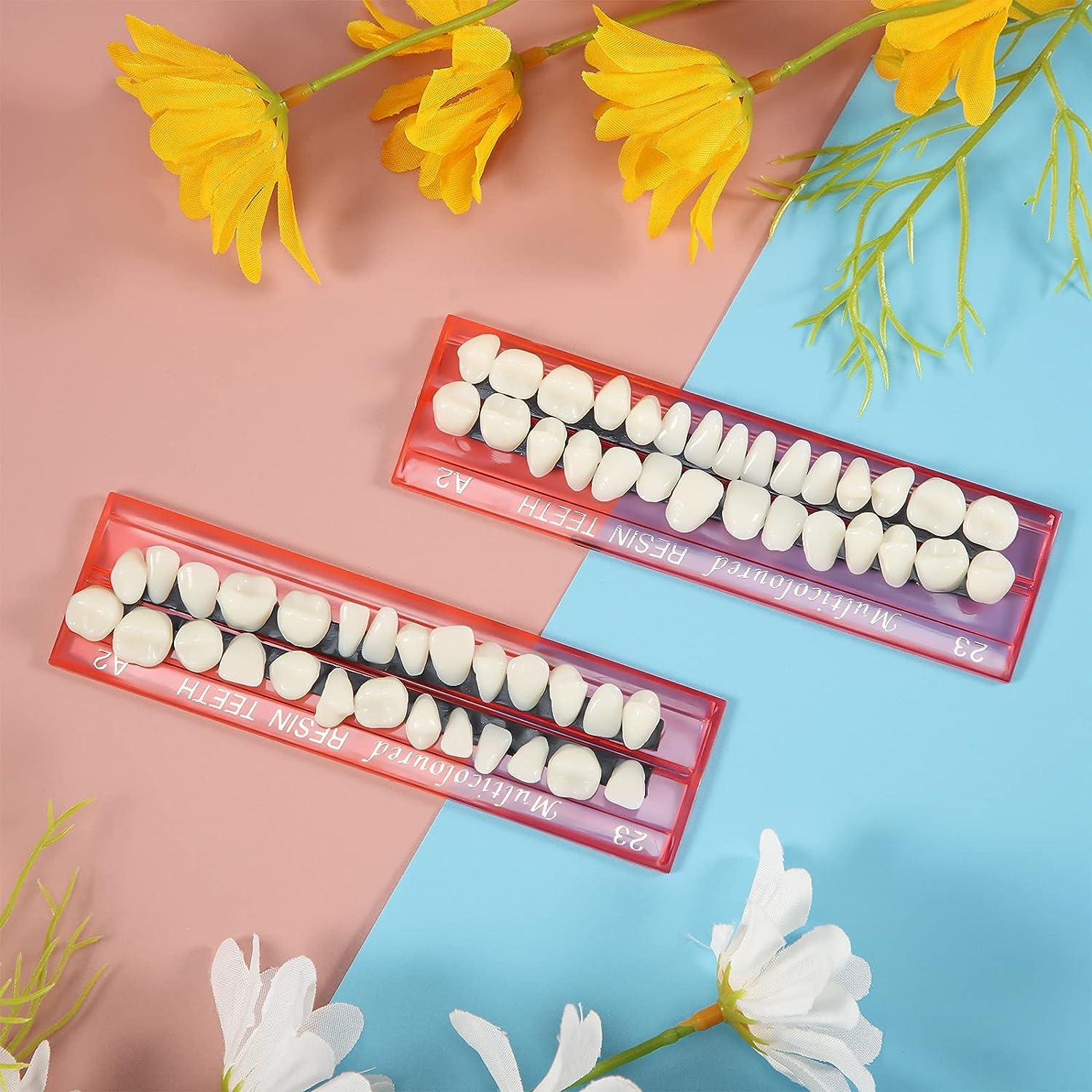 68-Piece Halloween Fake Teeth Set | Complete Acrylic Resin Denture Kit ...
