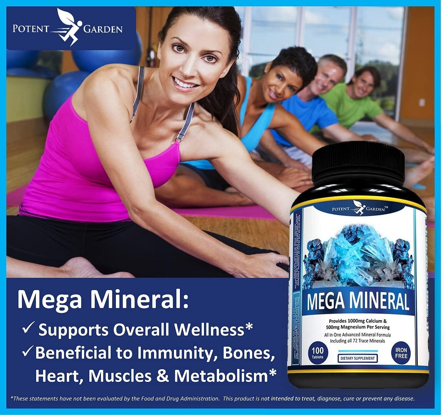 Potent Garden 2-Pack Mega Mineral Supplement Complete Mineral Complex with Calcium Magnesium ...