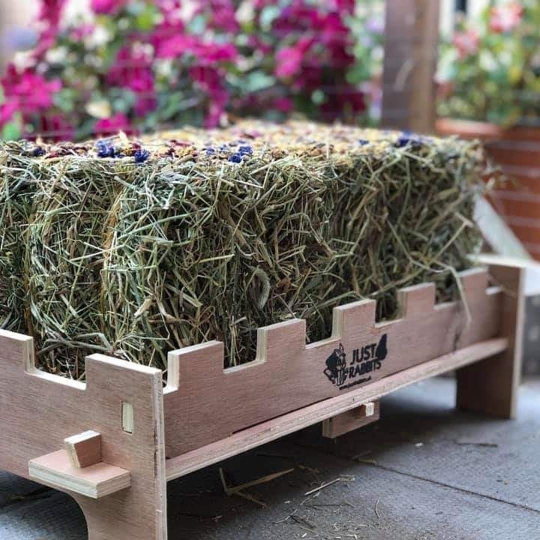 Springtime Forage Infused Baby Hay Bale for Rabbits and Guinea Pigs ...