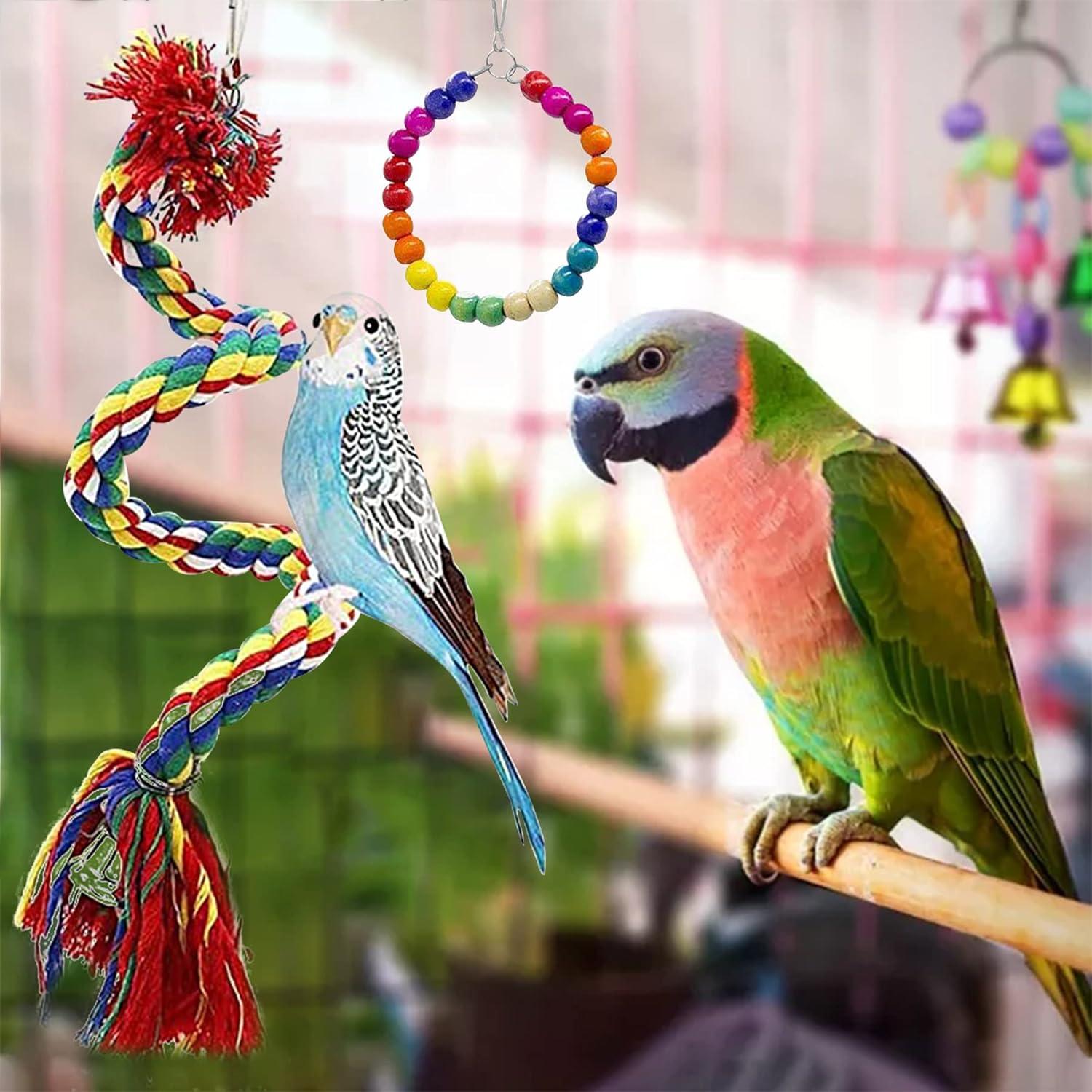 BIPY 16 PCS Bird Parrot Toys Hanging Bells Ball Swing Natural Coconut ...