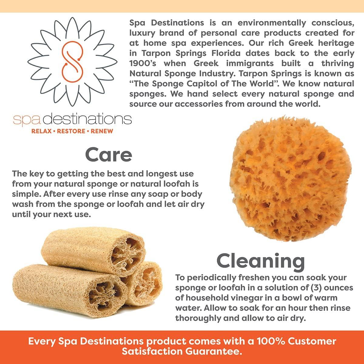 Sea Wool Sponge with Free Loofah - Spa Destinations 6-7 inch Set for ...