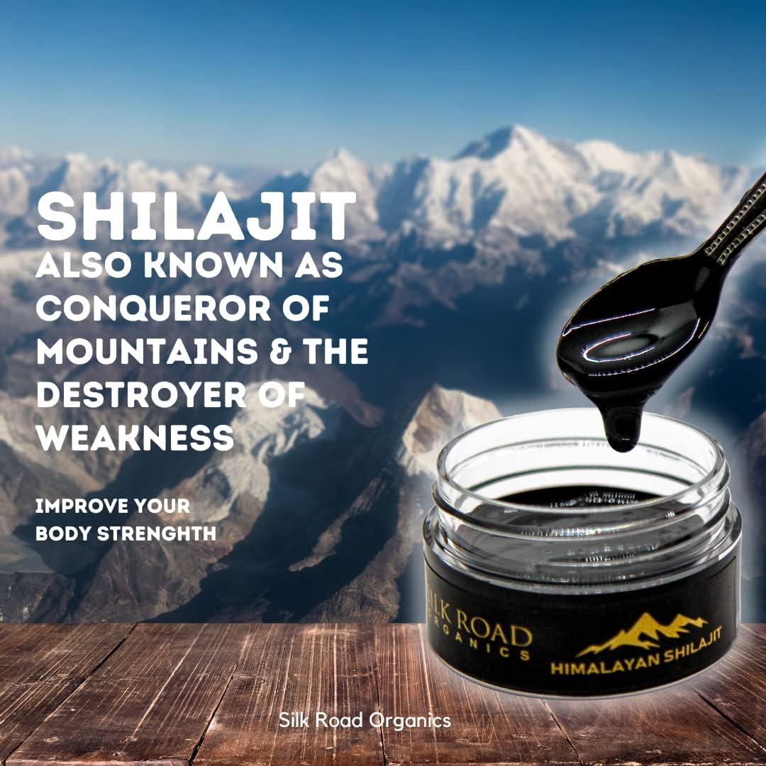 SILK ROAD ORGANICS Pure Himalayan Shilajit Resin 30g (Pack of 2 ...