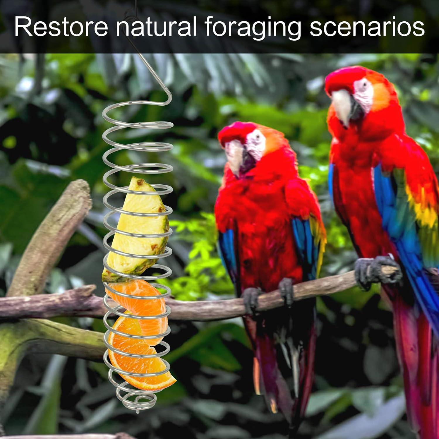 2PCS Parrot Basket Bird Foraging Toy Parrot Feeder Stainless Steel ...
