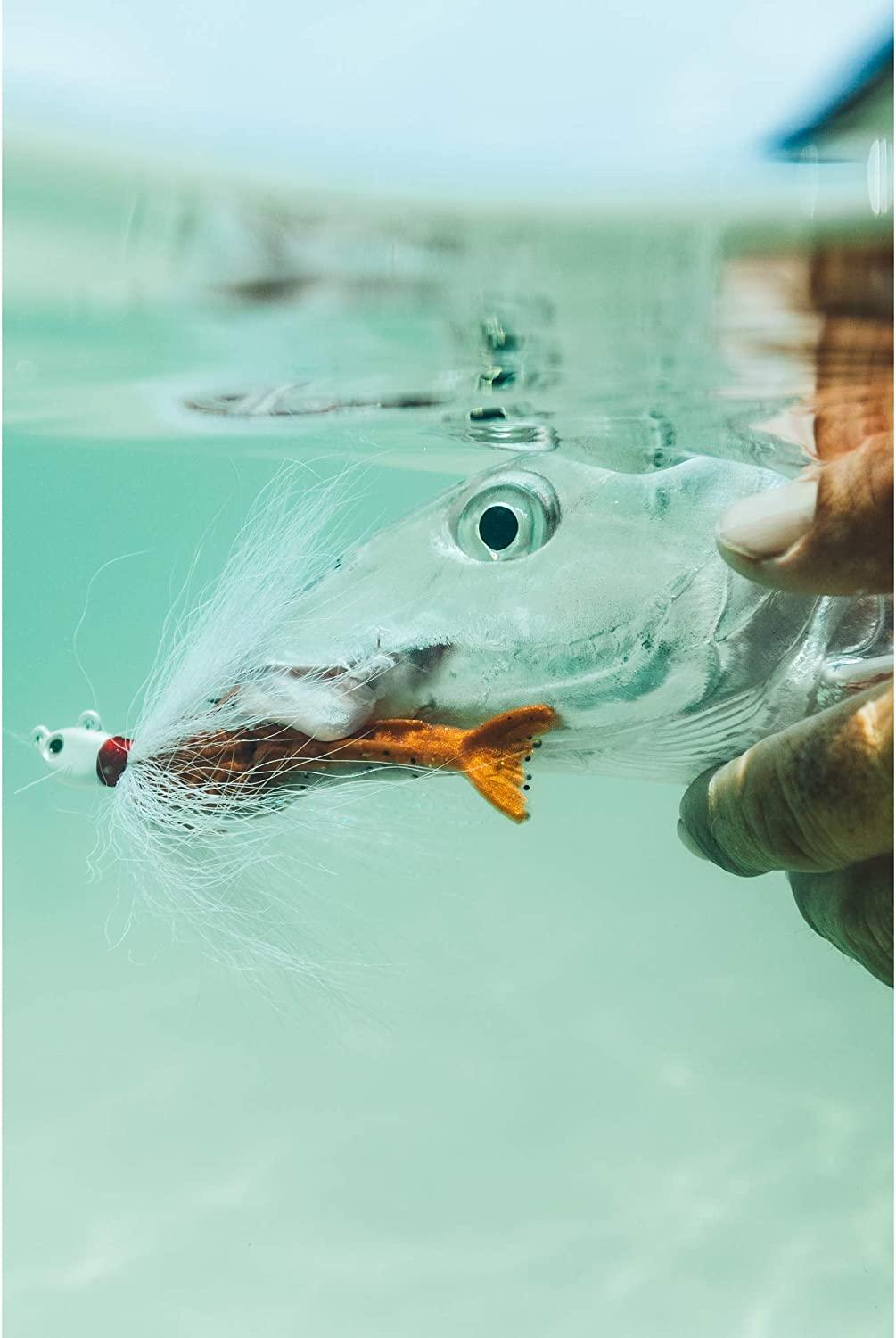 Gulp! Saltwater Shrimp in New Penny 3 - Premium Fishing Bait | Buy Now ...