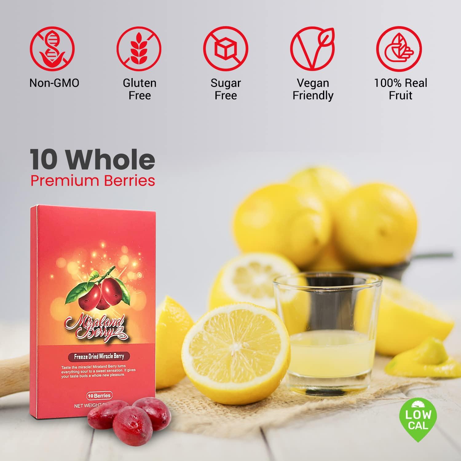 MiralandBerry Freeze Dried Miracle Fruit 10 Whole Premium Berries ...