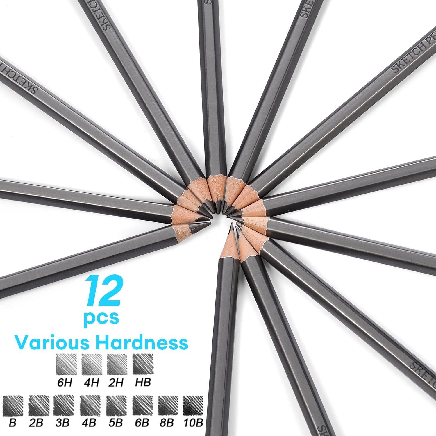 Dyvicl Professional Drawing Sketching Pencil Set - 12 Pieces Drawing Pencils 10B, 8B, 6B, 5B, 4B ...