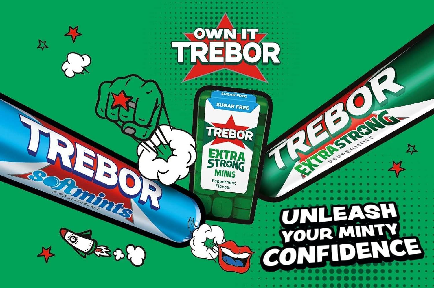 Ultimate Mint Selection - Box of 12 - Peppermint & Spearmint Soft Mints ...