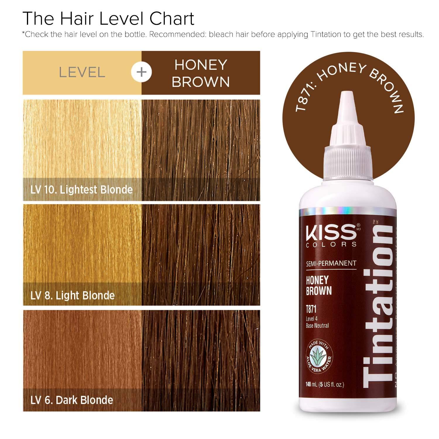 Kiss Tintation Semi-Permanent Hair Color Treatment 148 mL (Honey Brown ...