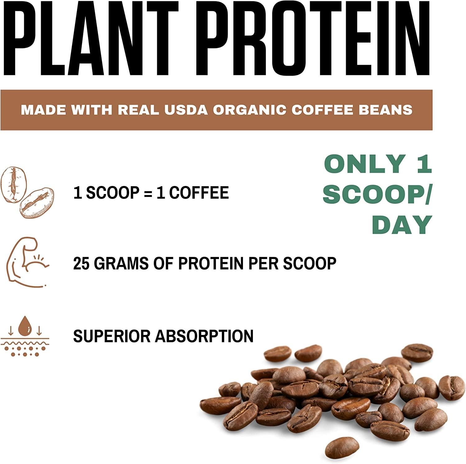 Vedge Organic Plant Protein Cold Brew Latte (20 Servings) | Vegan ...