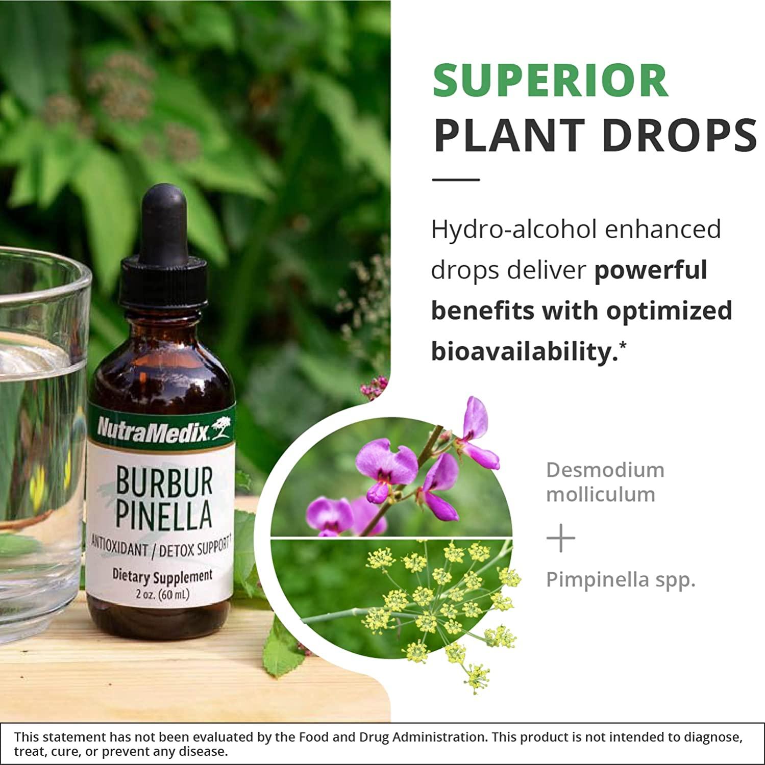 NutraMedix Burbur-Pinella 2 fl oz - Detox Support & Wellness Supplement ...