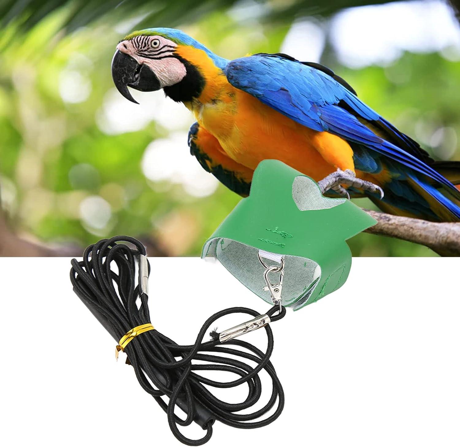 Bird Flight Harness Vest with Leash: Breathable Parrot Suit for ...