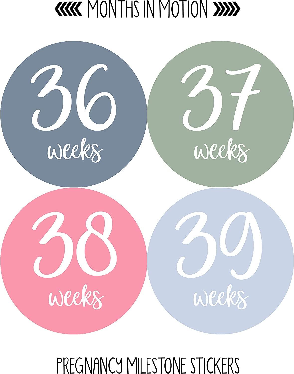 Pregnancy Weekly Belly Growth Stickers - Maternity Keepsake - Set of 36 ...
