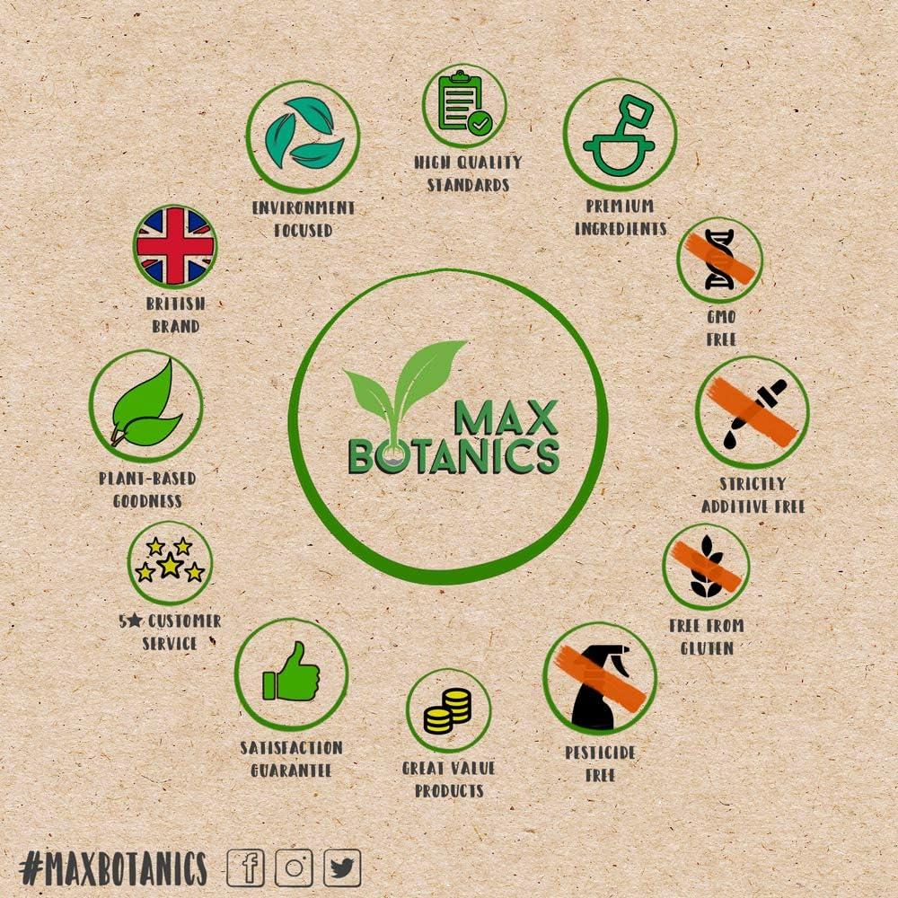 Max Adaptogen 10 | Ayurvedic Herbs with Ashwagandha, Bacopa, Holy Basil ...