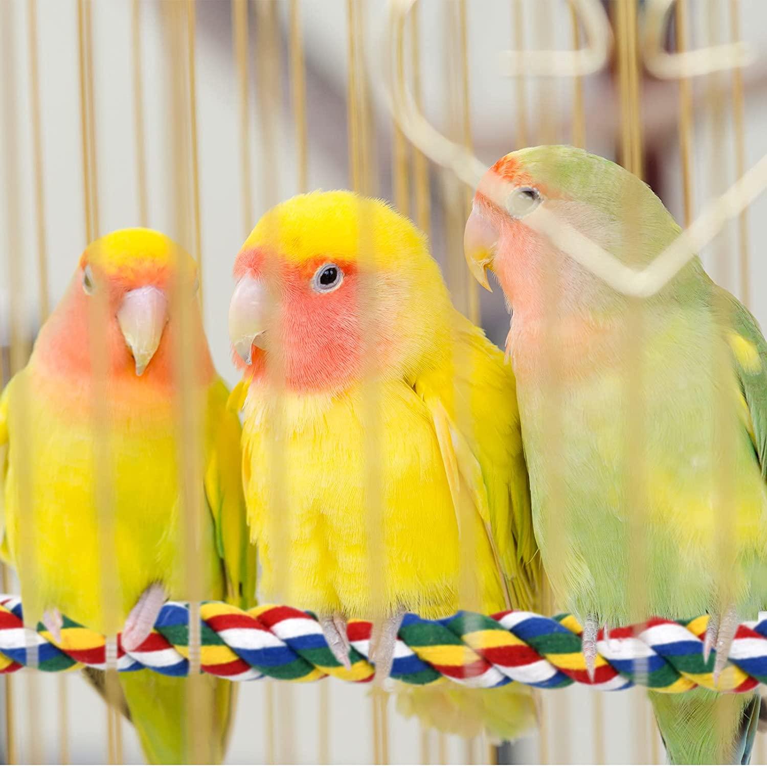 Colorful 41-inch Rope Perch Toy for Parrots, Cockatiels, Parakeets ...
