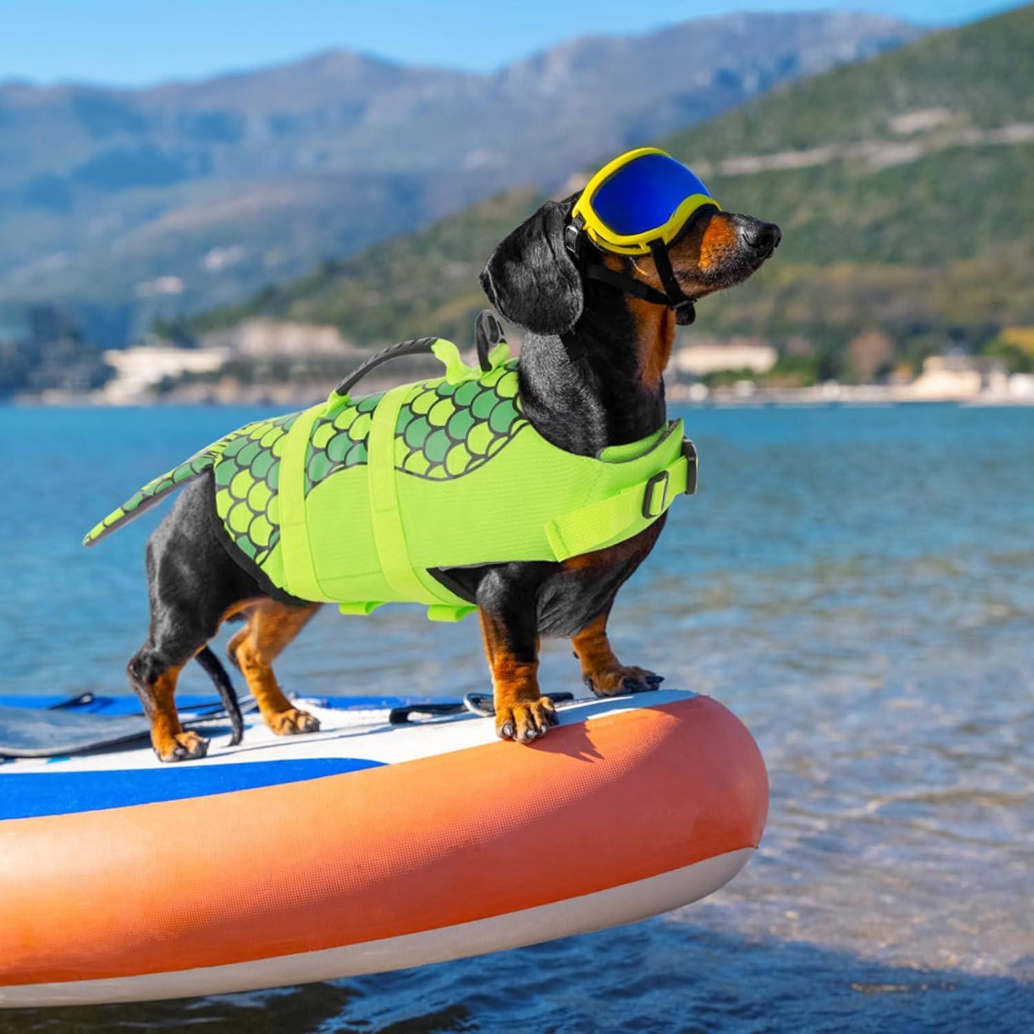 Buy Cit toile Shark Dog Life Jacket - Stylish & Safe Vest for Small ...
