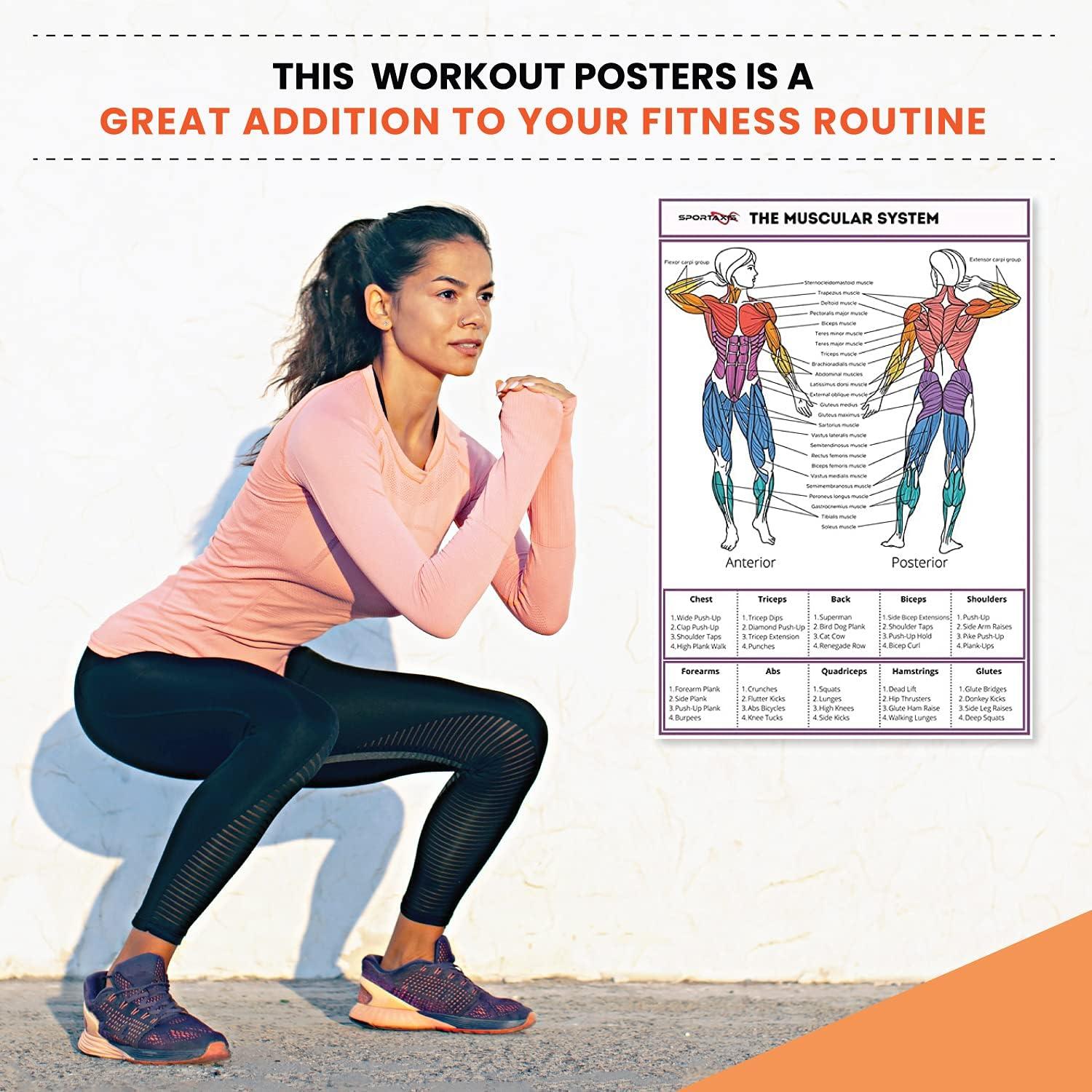 Sportaxis Laminated Workout Poster Set - Bodyweight & Yoga Exercises ...