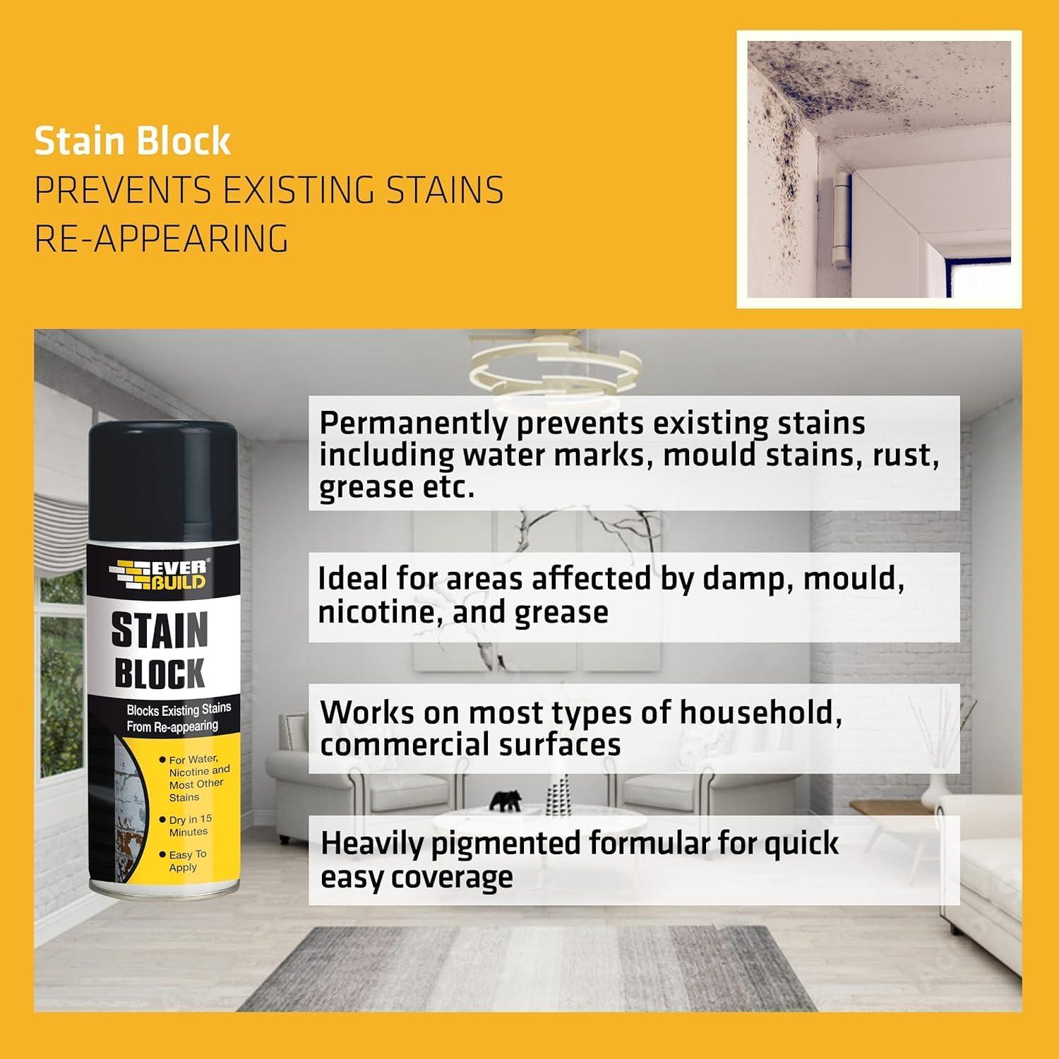 AMK Ever Build Stain Block 400ml Spray Paint Prevents Water Marks Mould ...