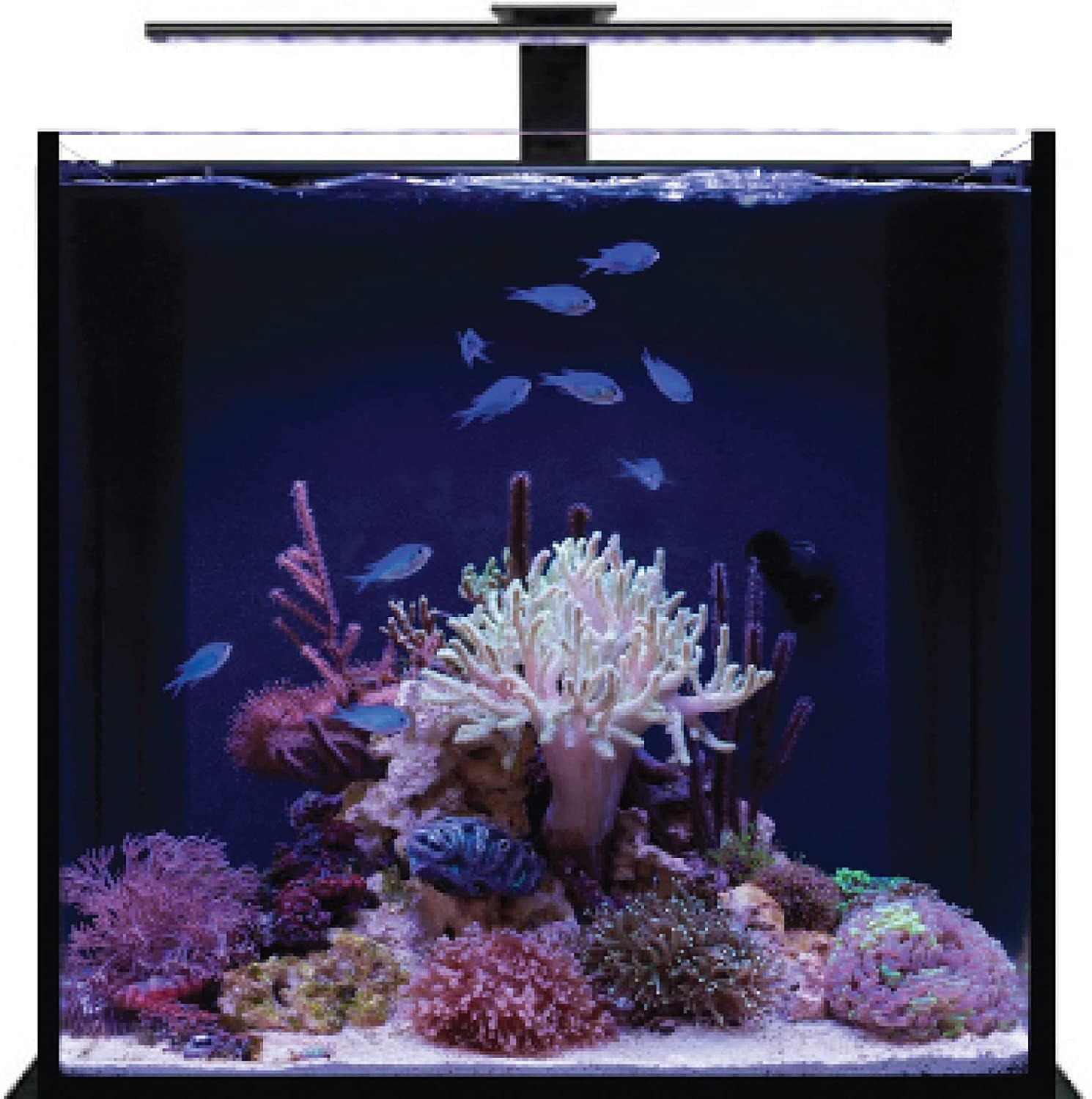 Current USA Orbit LED Tank Mount Bracket - Adjustable, Black | Buy Now ...