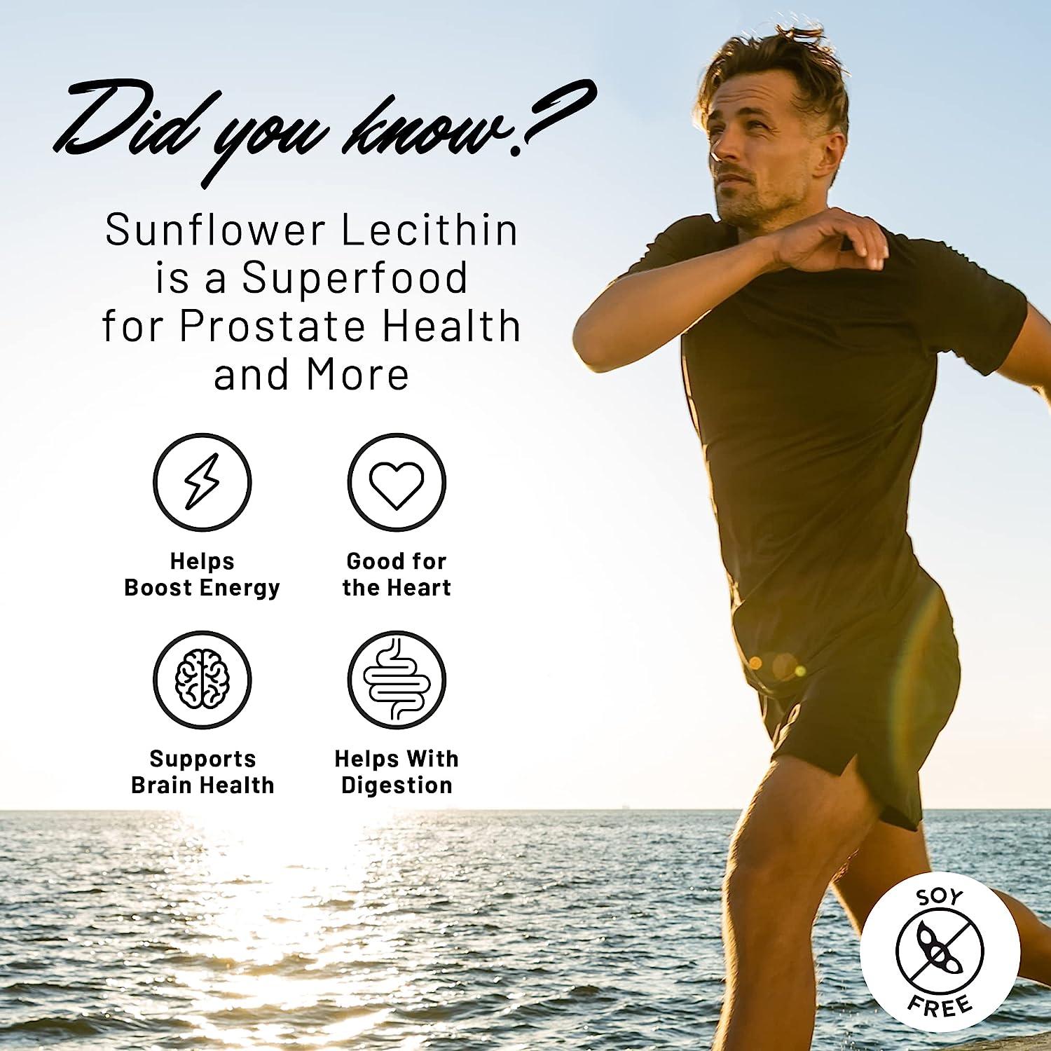 Legendairy Milk Sunflower Lecithin 1200mg Softgels - 200 Count Bottle ...