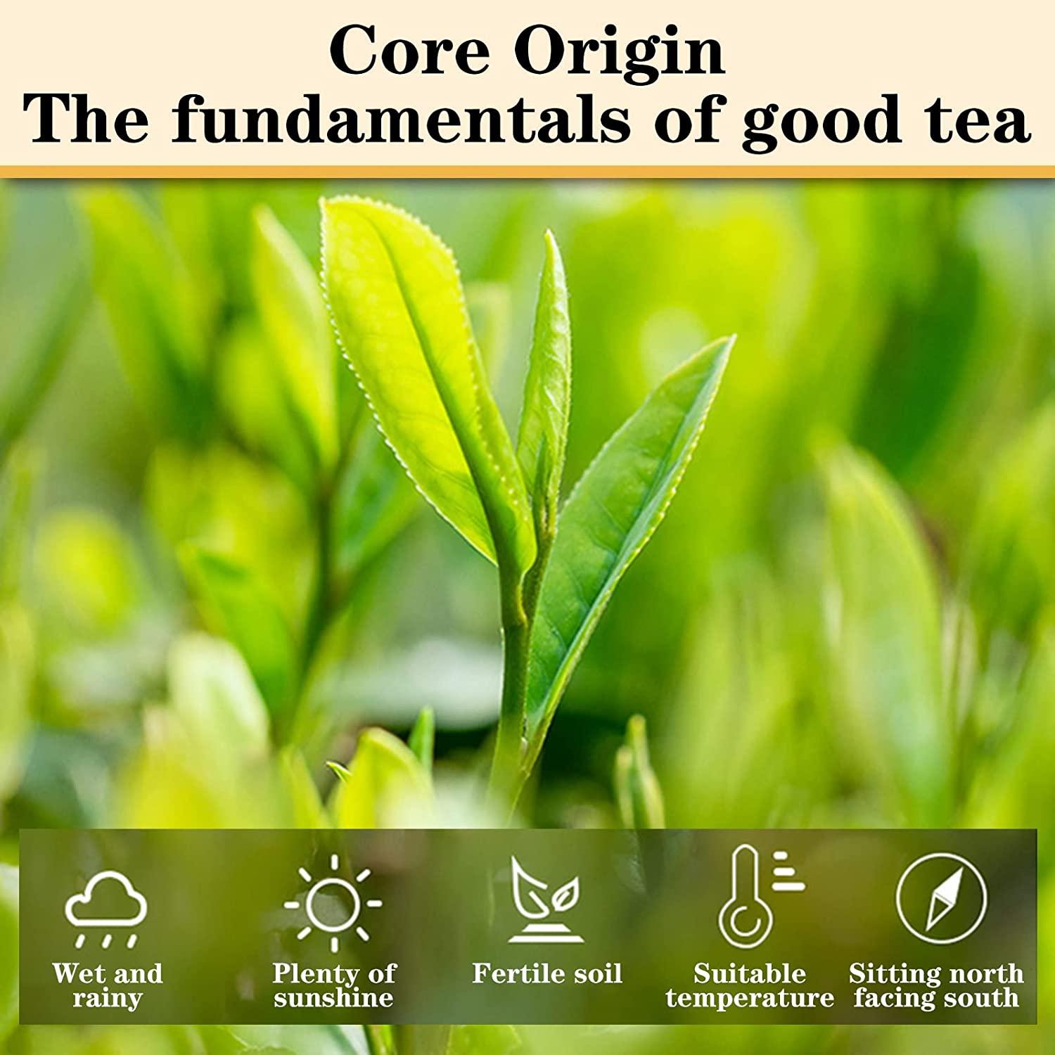 Chinese Jasmine Green Tea - 200g Loose Leaf Tea | Includes Teapot Set ...