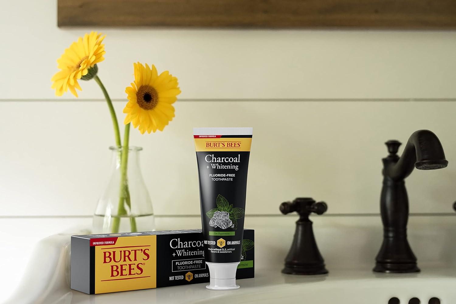 Burt s Bees Toothpaste Natural Flavor Charcoal Fluoride-Free Toothpaste ...