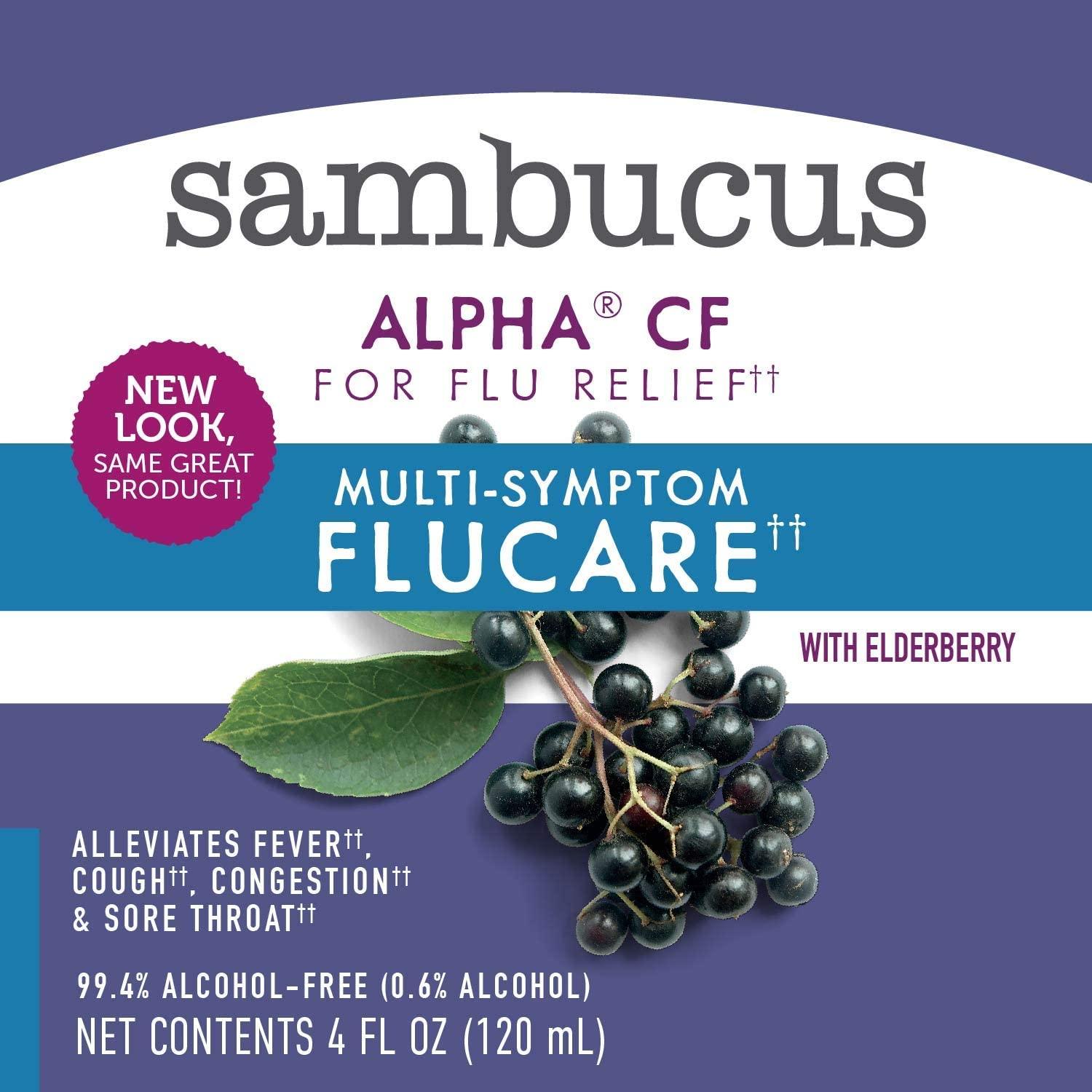 Nature's Way Sambucus Flucare Syrup - Natural Immune Support, 4 Fl Oz ...
