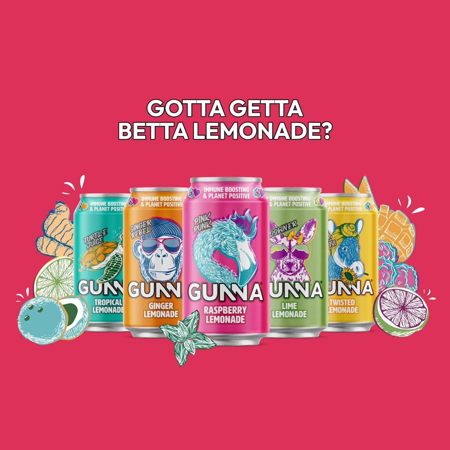 Gunna Immune Boosting Fizzy Drinks Variety Pack of Soft Drinks Natural ...