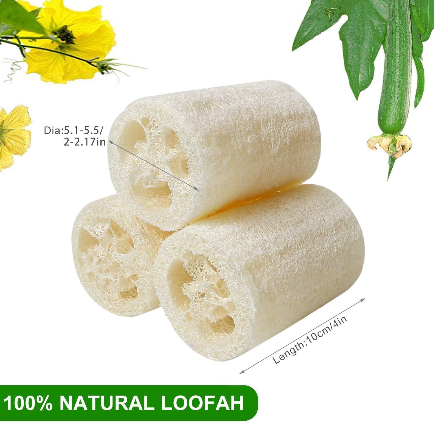 6 Pieces Natural Luffa Sponge - 10cm Exfoliating Cucumbers for Bath ...