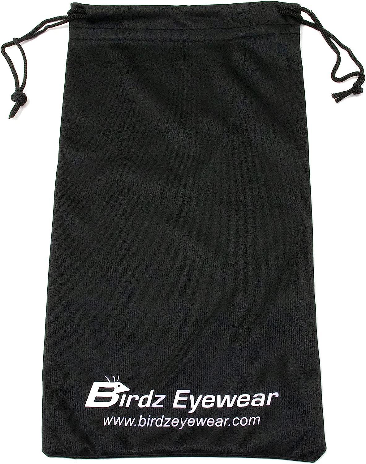 Birdz Eagle Red Baron Motorcycle Airsoft Goggles - Clear & Super Dark ...