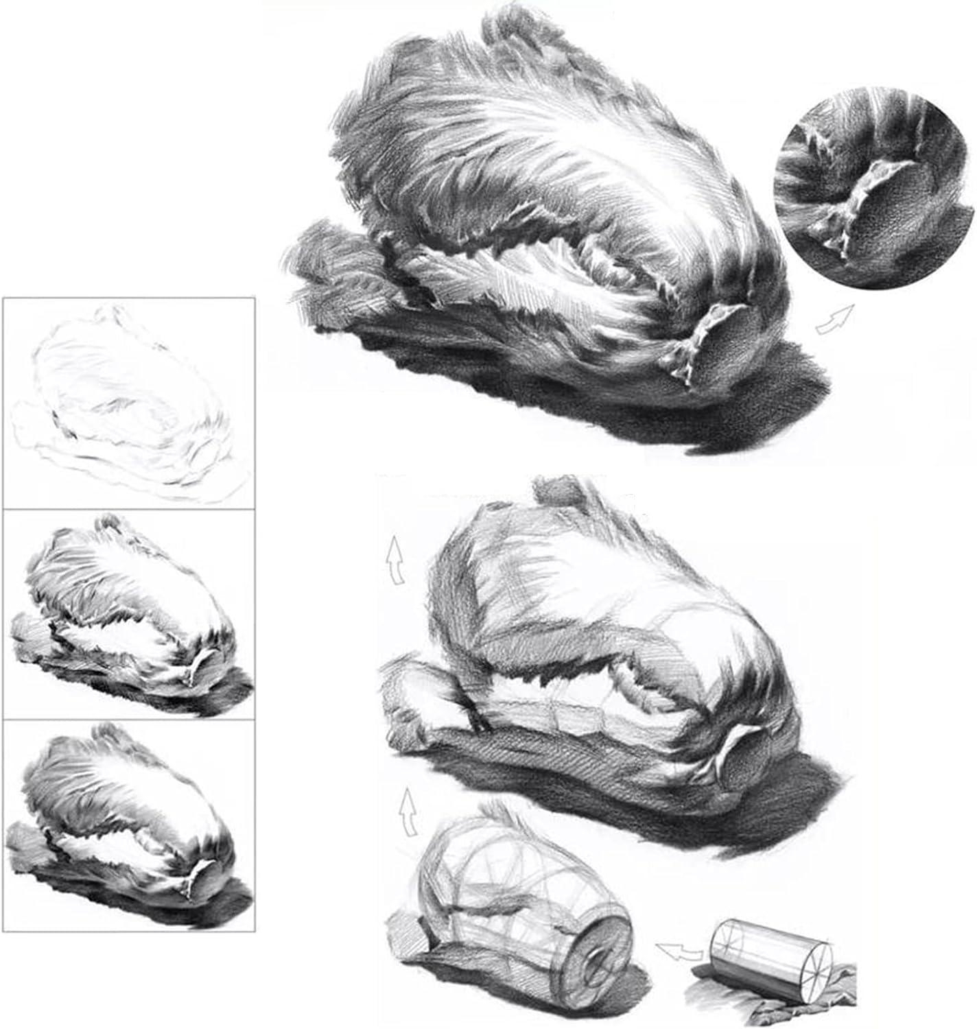 Heshengping 15 Pack Blending Stump Set with Eraser, Extender, Sandpaper ...