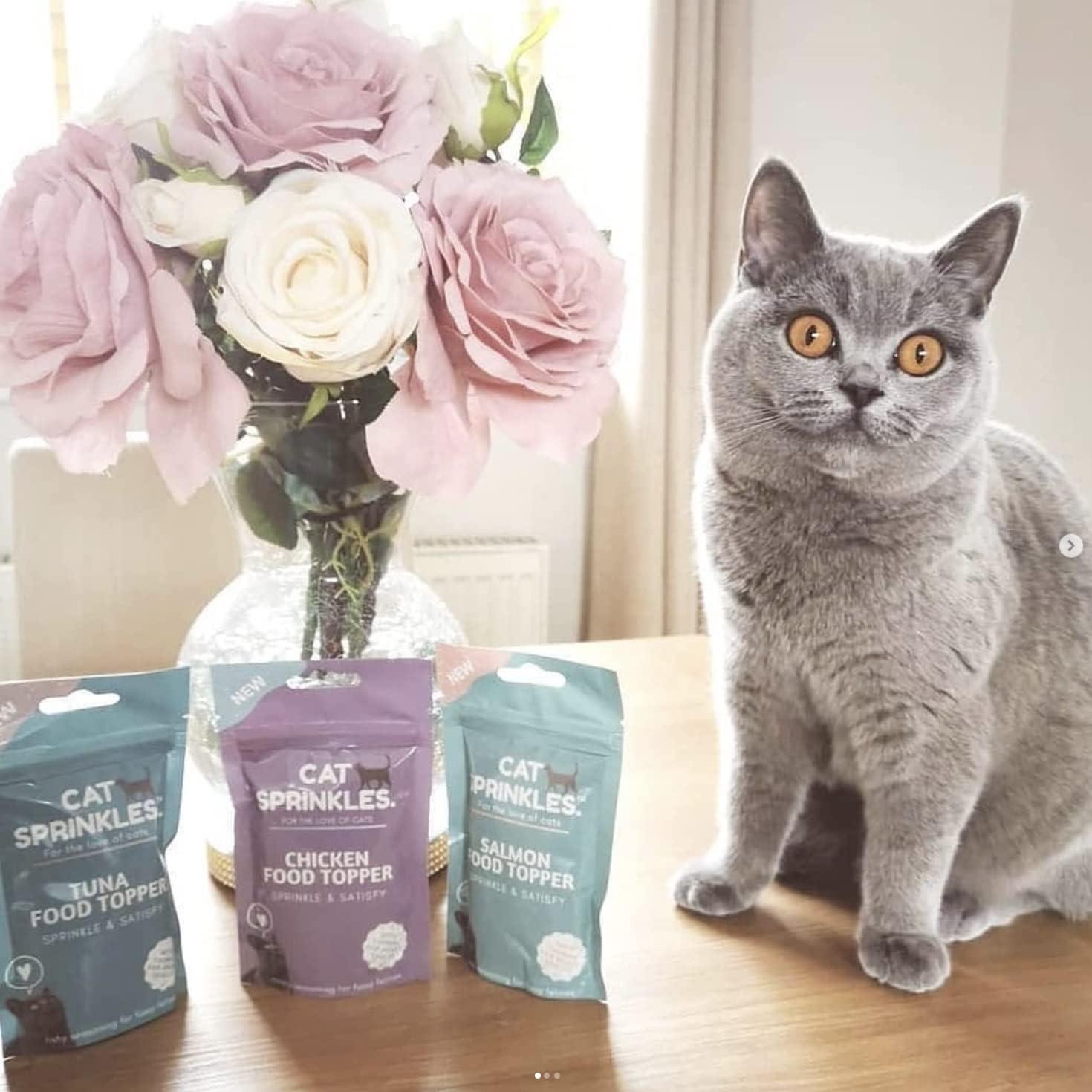 Cat Sprinkles Chicken Liver Flavour - Hydrolysed Cat Food Topper (80 ...