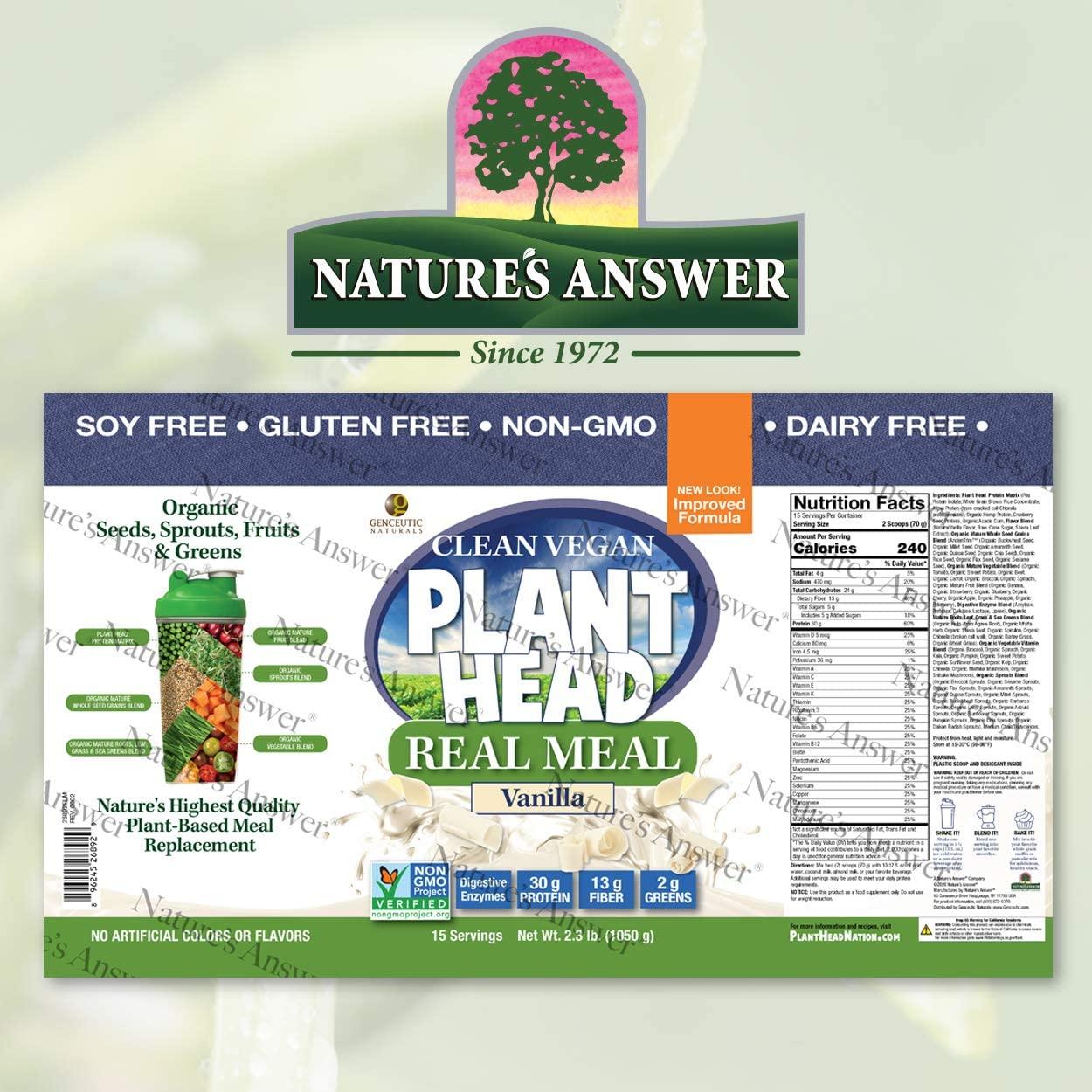 Plant Head Real Meal Organic Protein Powder - Vegan Vanilla, Low Carb ...