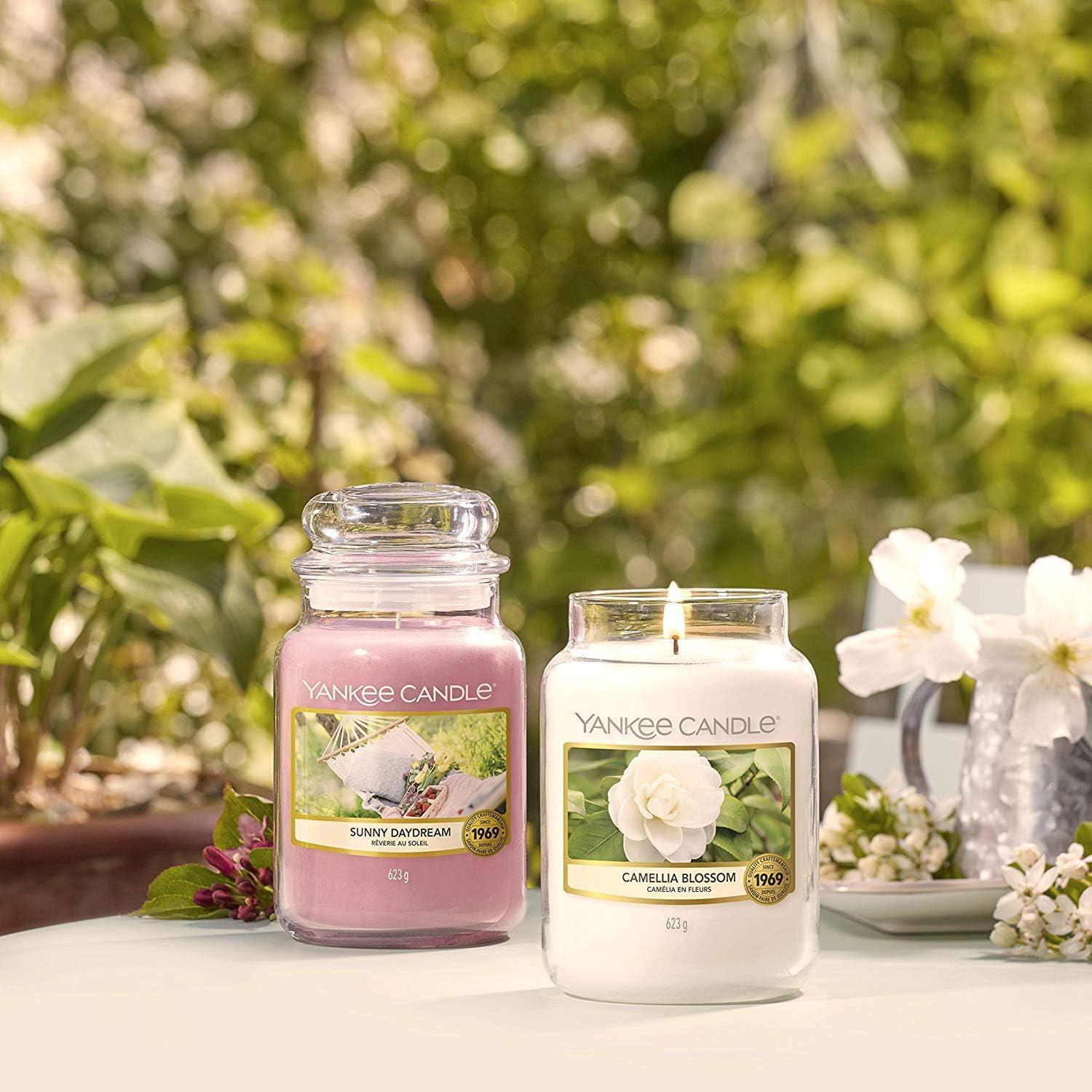 Yankee Candle Sunny Daydream Large Glass Candle | 150 Hour Burn Time ...