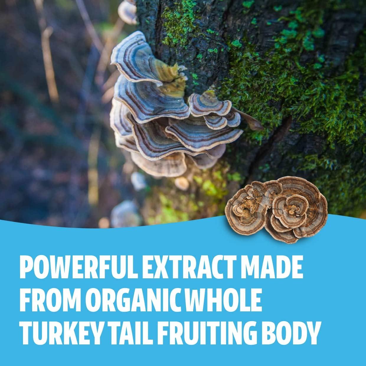 FreshCap, Turkey Tail Mushroom Capsules, 120 Count, 60 Day Supply ...